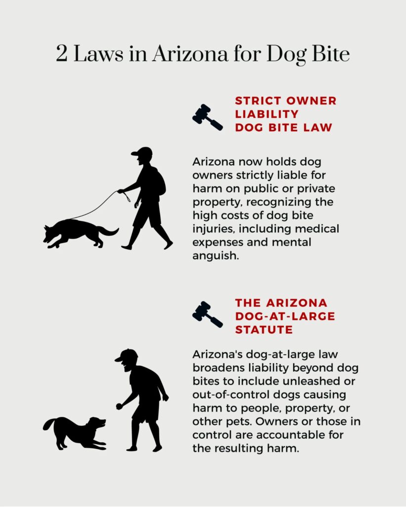 Phoenix Dog Bite Lawyer
